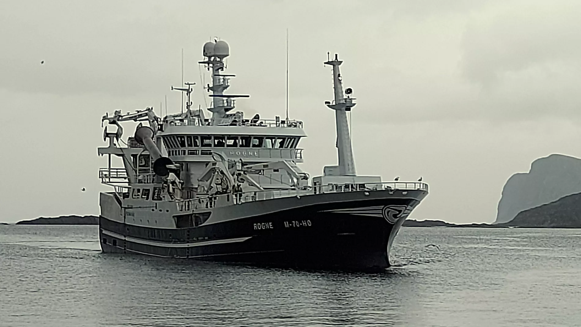 Bra på silda – svart på makrellen | NETT NO