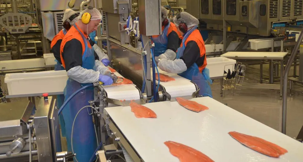 Fiskeri åleine reddar ikkje kystsamfunn | NETT NO