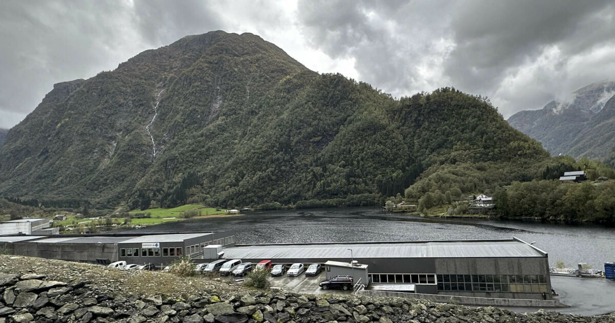 Brødrene Aa-styreleiar reknar med ny frist | NETT NO