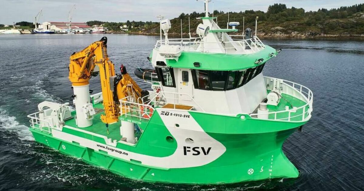 Kraftig vekst for FSV Group | NETT NO