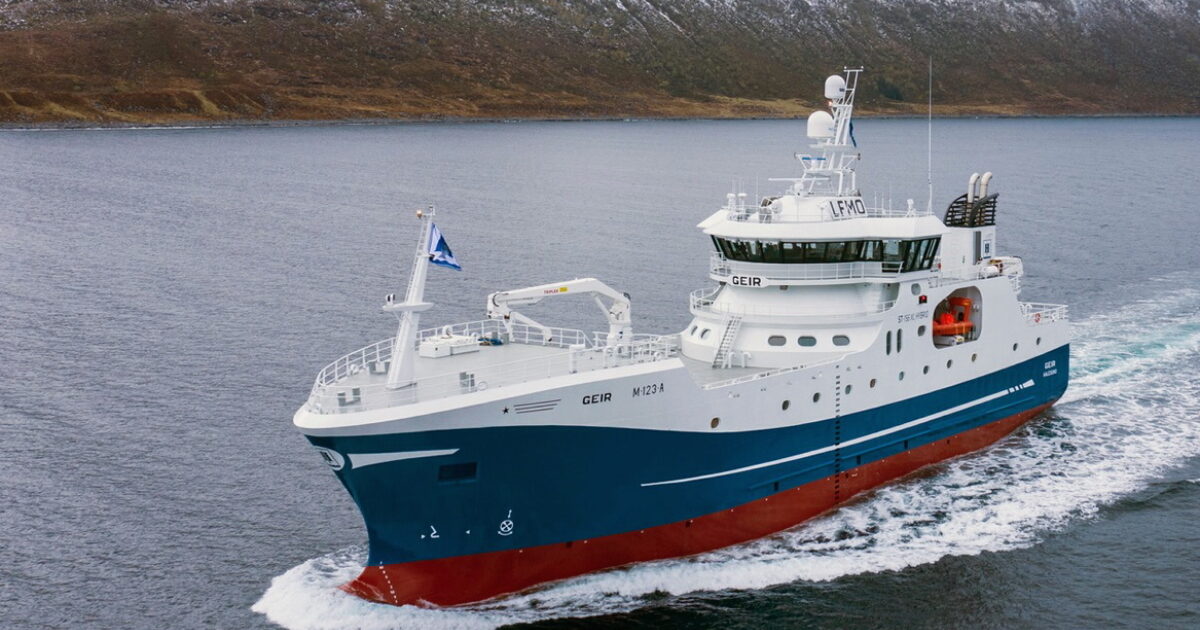 Vi tør ikkje, rett og slett | NETT NO