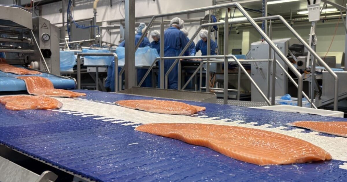 51 ansatte ved Hofseth-fabrikk blir permittert | NETT NO