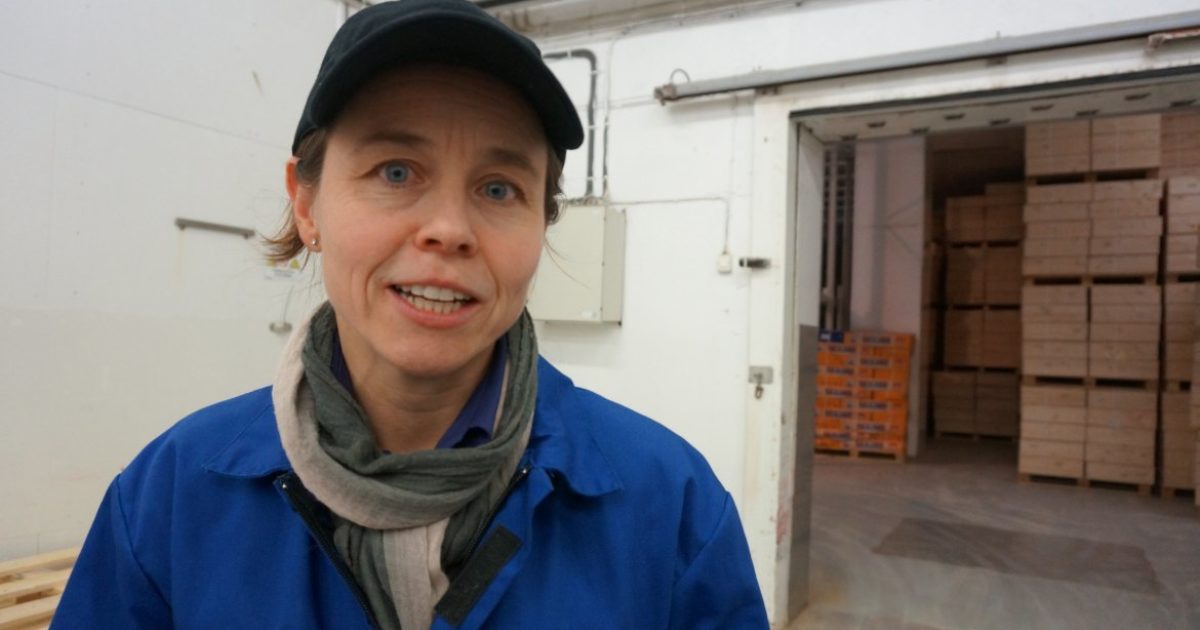 Solgte fisk for over fire milliarder kroner | NETT NO