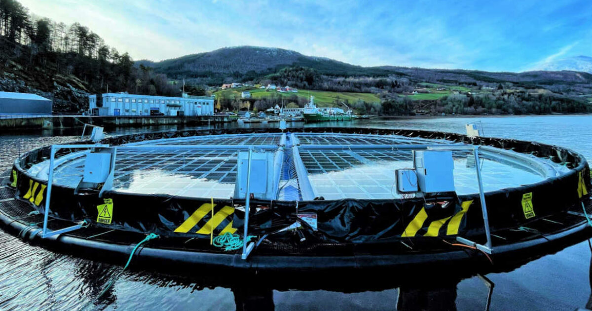 Første mål nådd i Inseanergy-emisjon | NETT NO