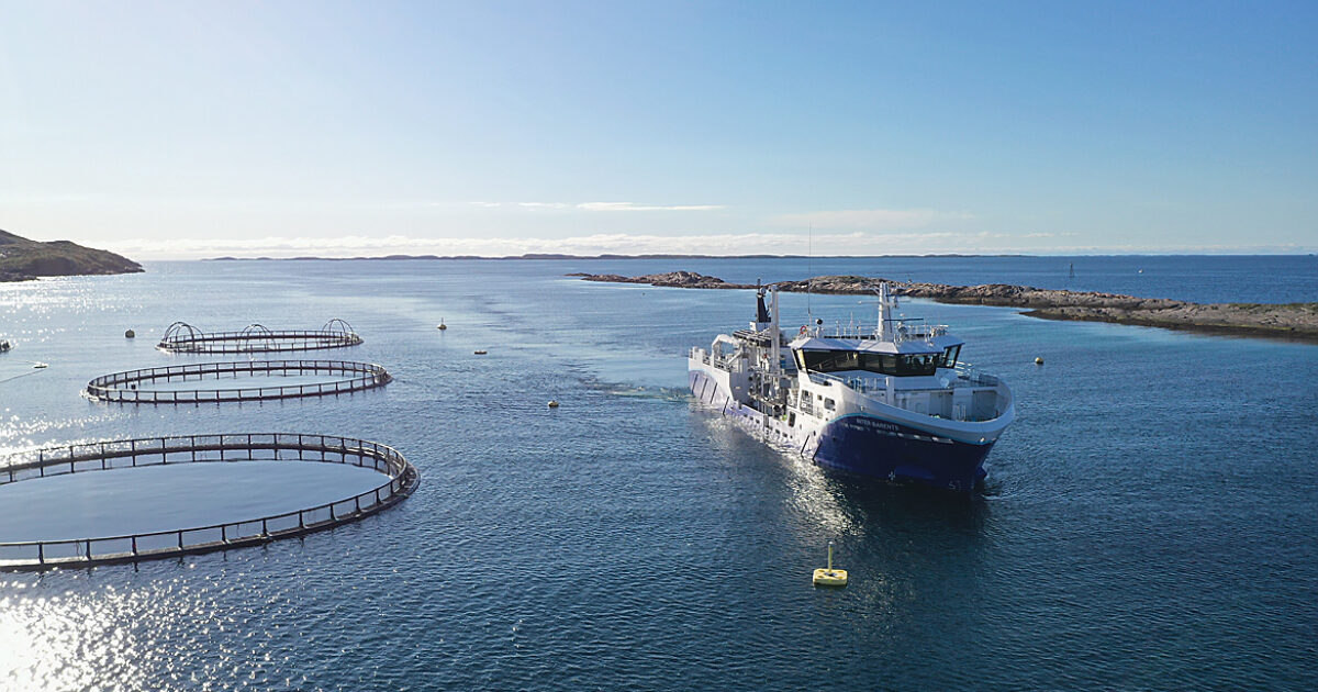 Nok et angrep mot kysten | NETT NO