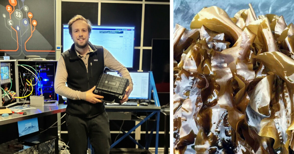 Lager kontrollsystem for tang og tare | NETT NO