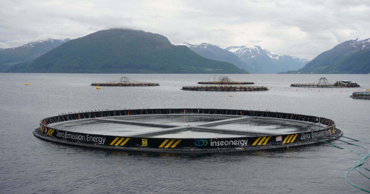 Navneskifte for Inseanergy | NETT NO