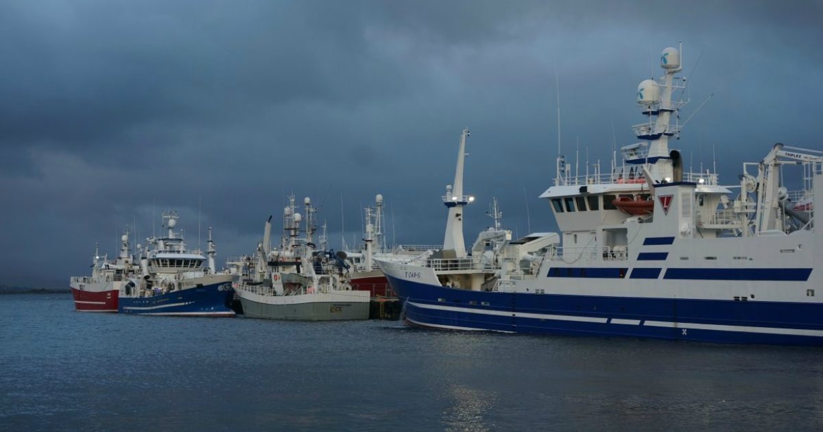 Tredje beste år for fiskerne | NETT NO