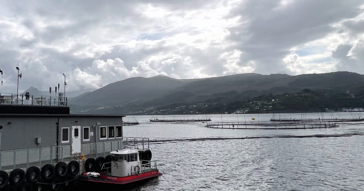 Kritisk til fiskevelferda i oppdrett | NETT NO